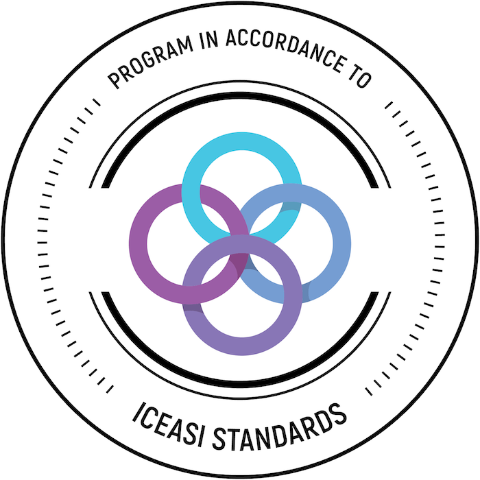 Learn About The Certificate In Ayres Sensory Integration — CLASI