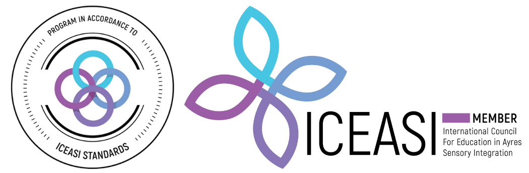 Module 1 - Certificate In Ayres Sensory Integration Theory — CLASI