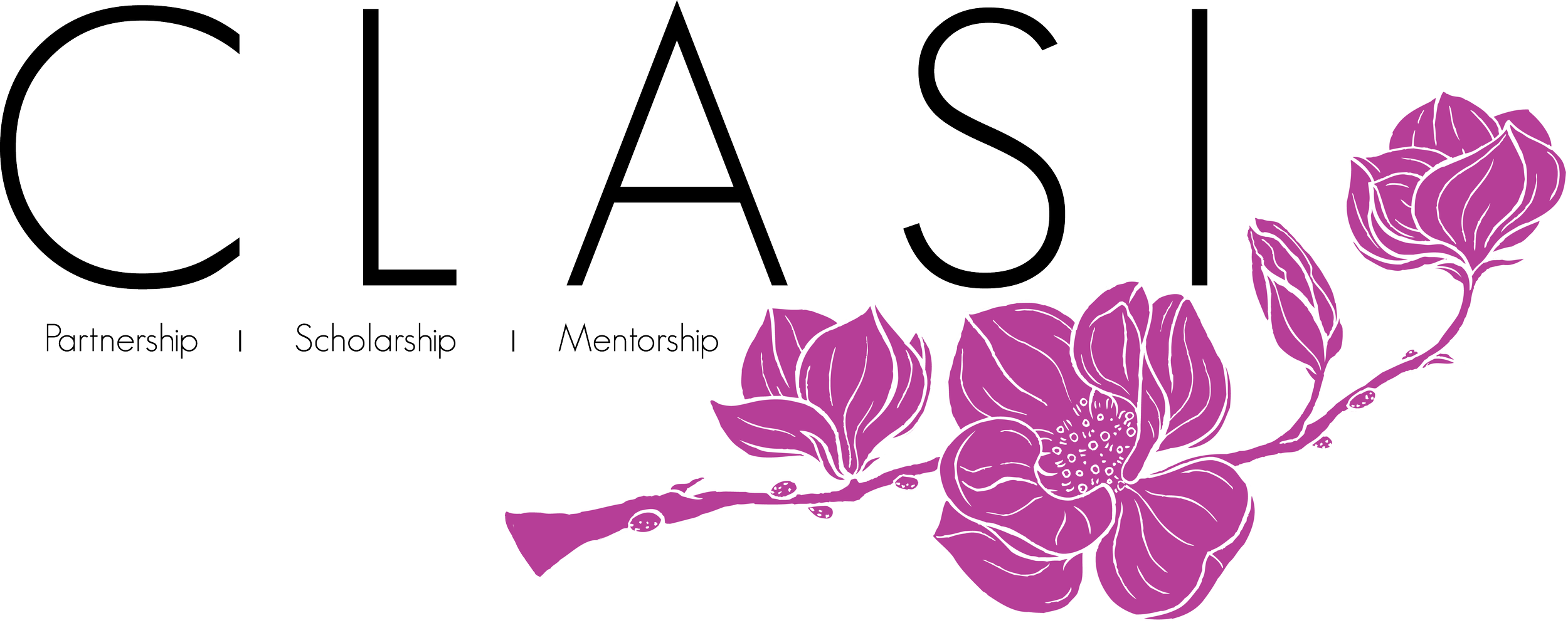 Financial Assistance — CLASI