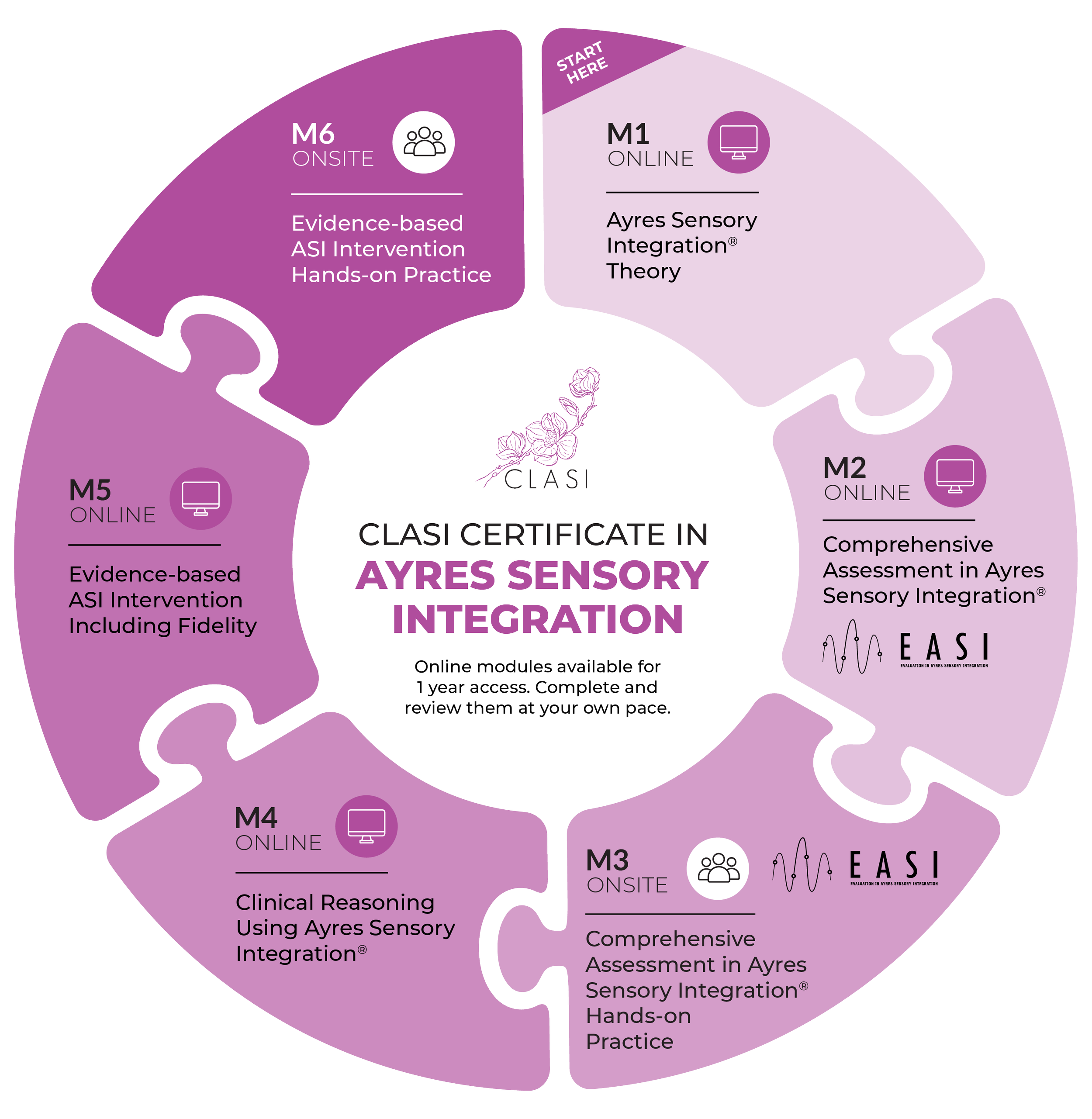 Learn About The Certificate In Ayres Sensory Integration — CLASI
