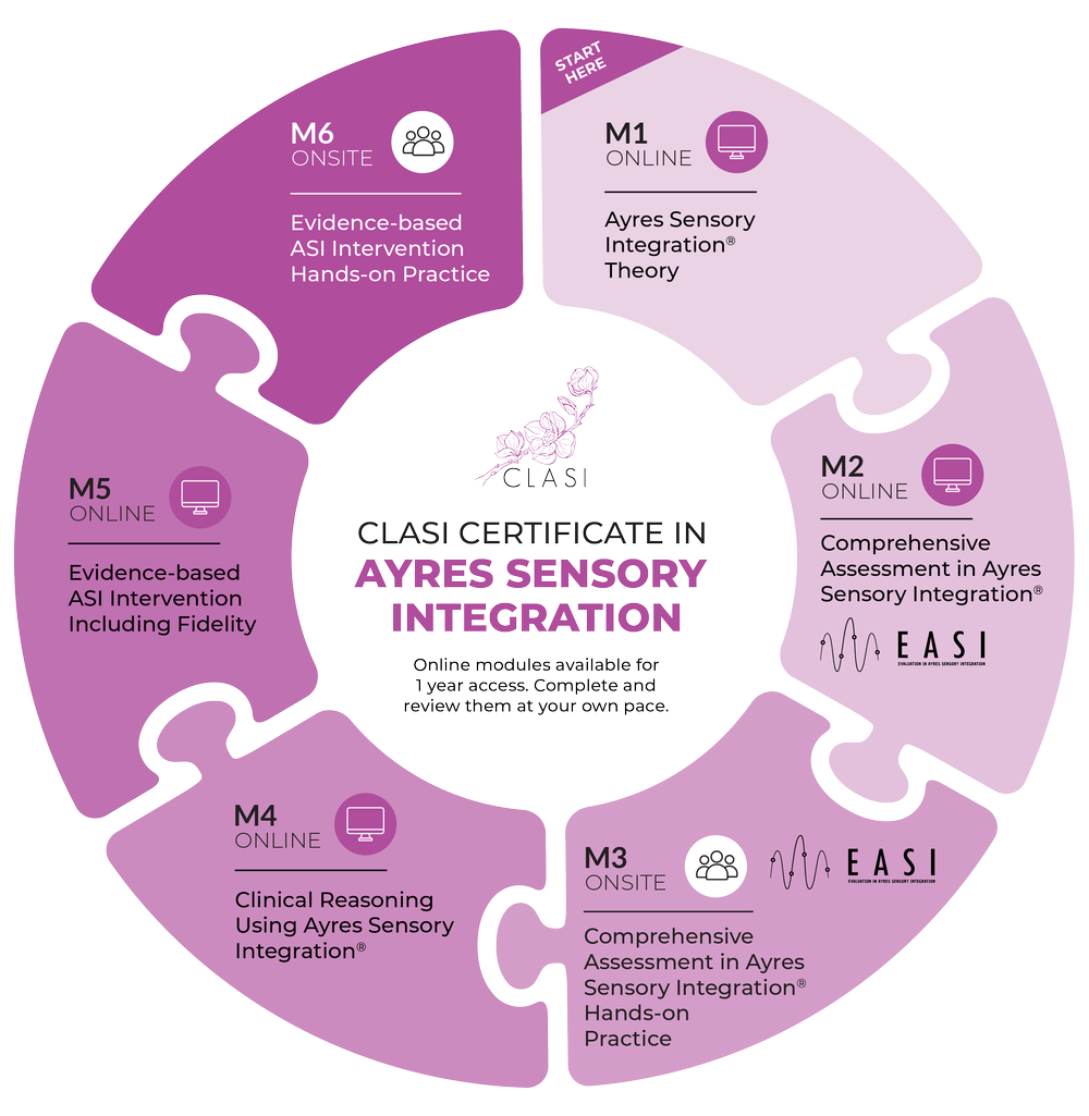 Learn About The Certificate In Ayres Sensory Integration — CLASI