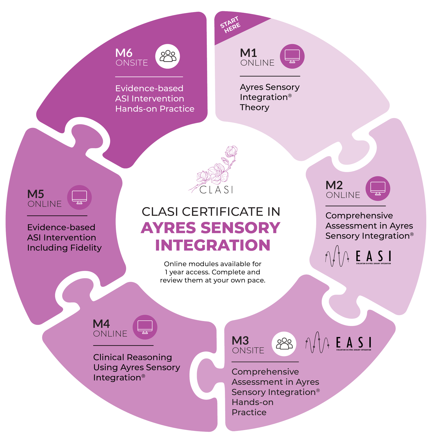 Learn About The Certificate In Ayres Sensory Integration — CLASI