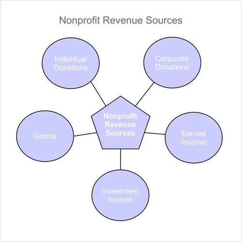 Nonprofit Accounting Explained — AccountingTools