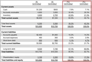 Common size financial statement definition — AccountingTools