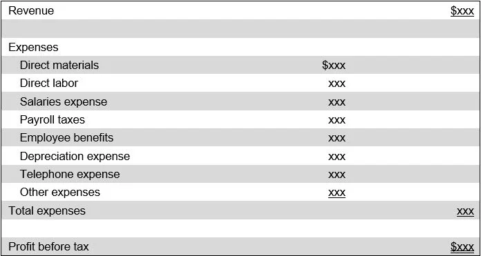Reporting expenses by function — AccountingTools