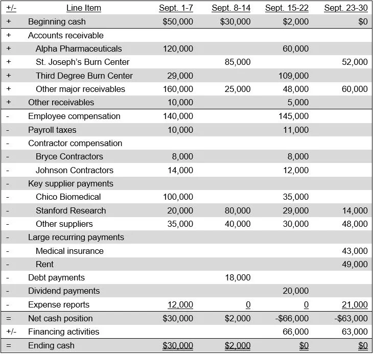 Pro forma cash flow definition — AccountingTools