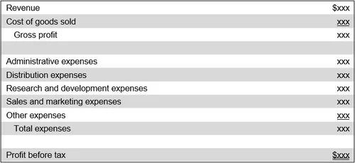 Reporting expenses by function — AccountingTools