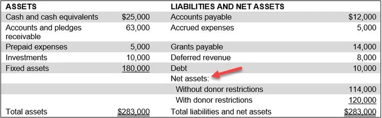 Net assets definition — AccountingTools