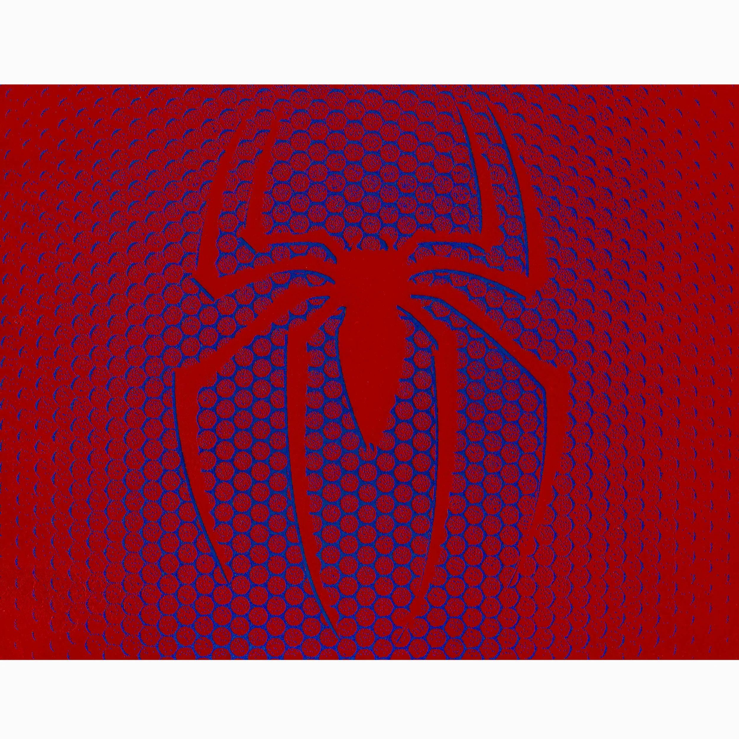 All Spiderman Symbols