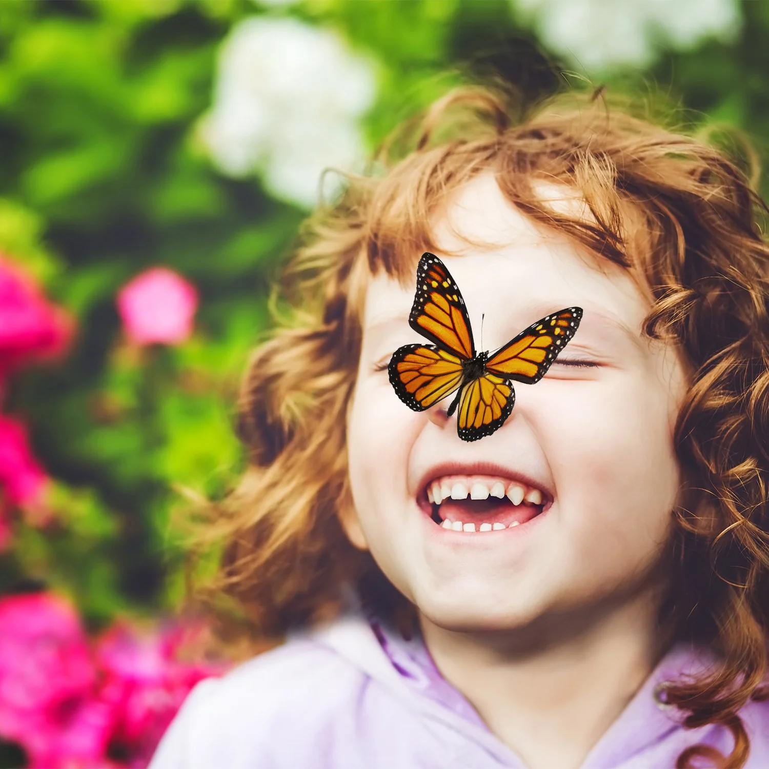 Butterfly Encounter Tent — Sharing The Butterfly Experience