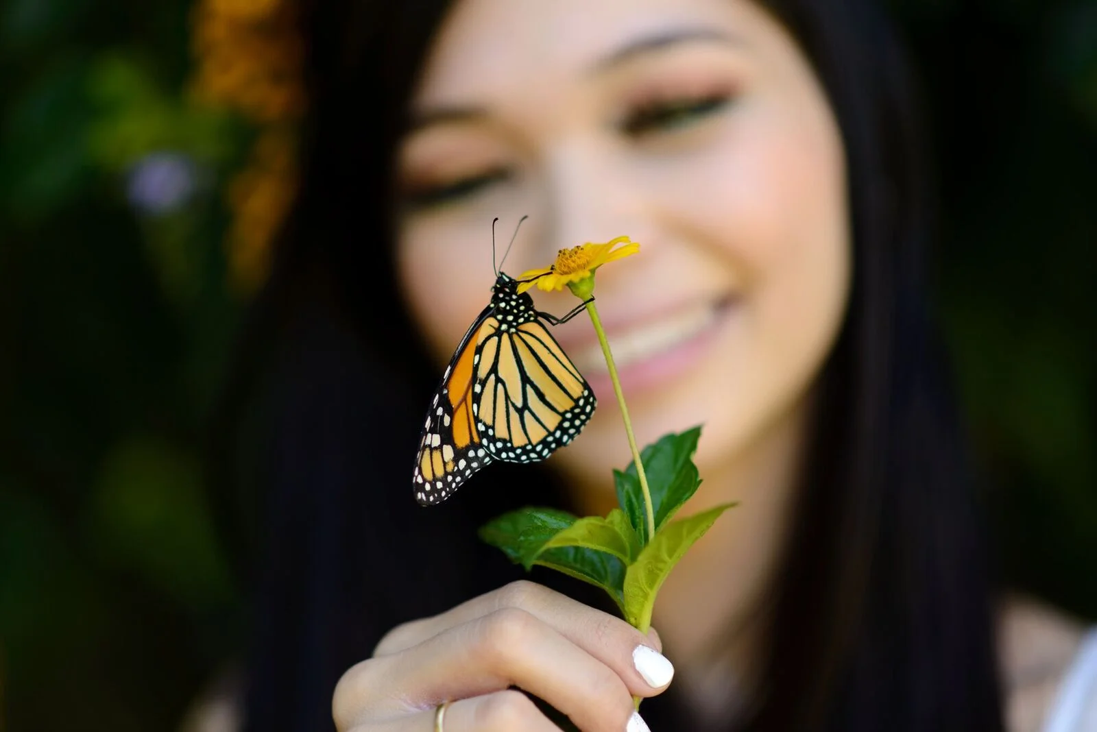Sharing the Butterfly Experience - Hawaii Butterfly Releases