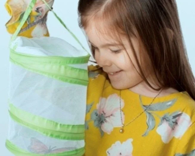 Monarch Caterpillar Kits — Sharing The Butterfly Experience