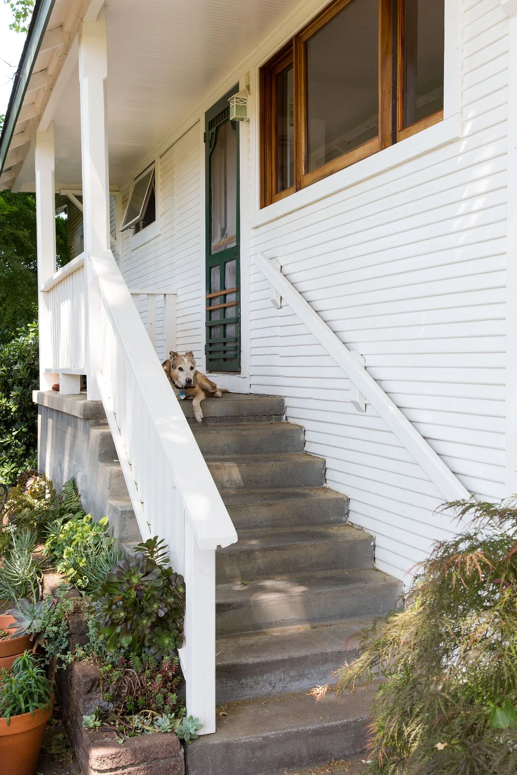 1OO YEAR OLD FARMHOUSE REMODEL — TAMI FAULKNER DESIGN