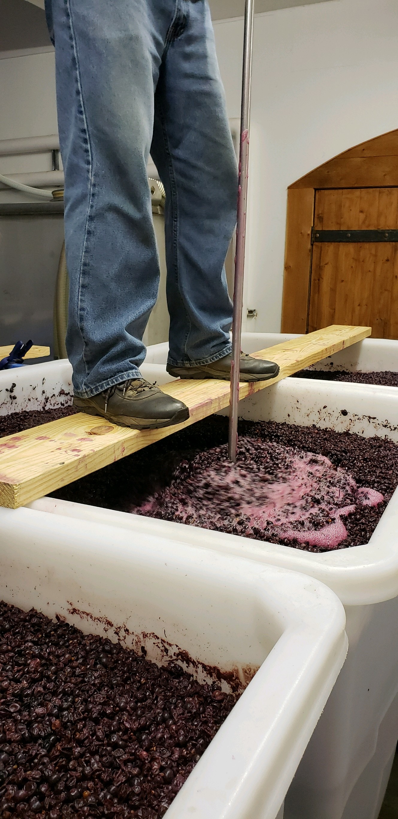 Blog — Elkin Creek Vineyard