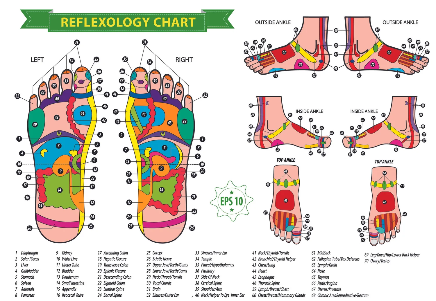 What is Reflexology? — Blossom Care