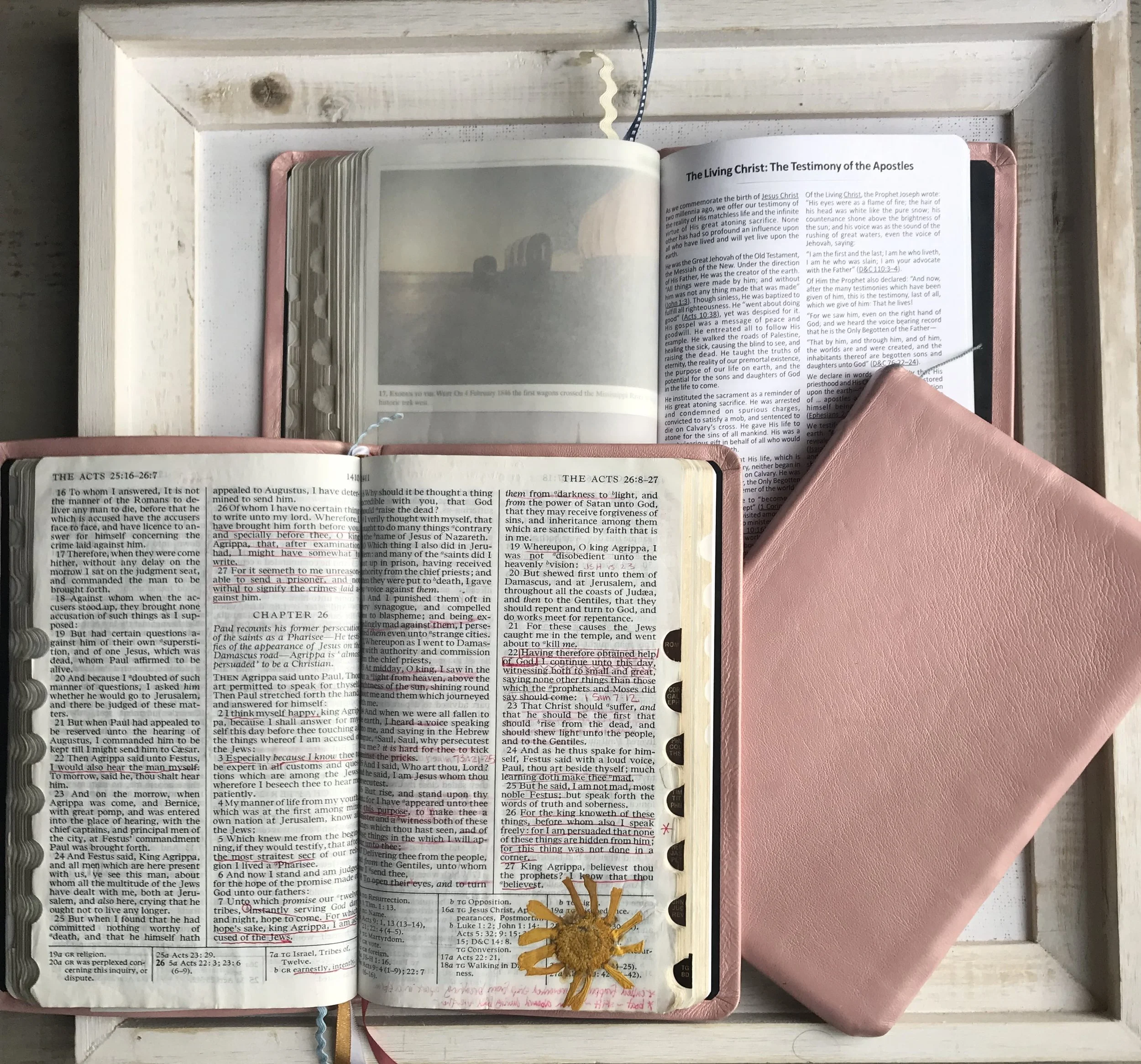 MY PINK SCRIPTURES — Emily Belle Freeman