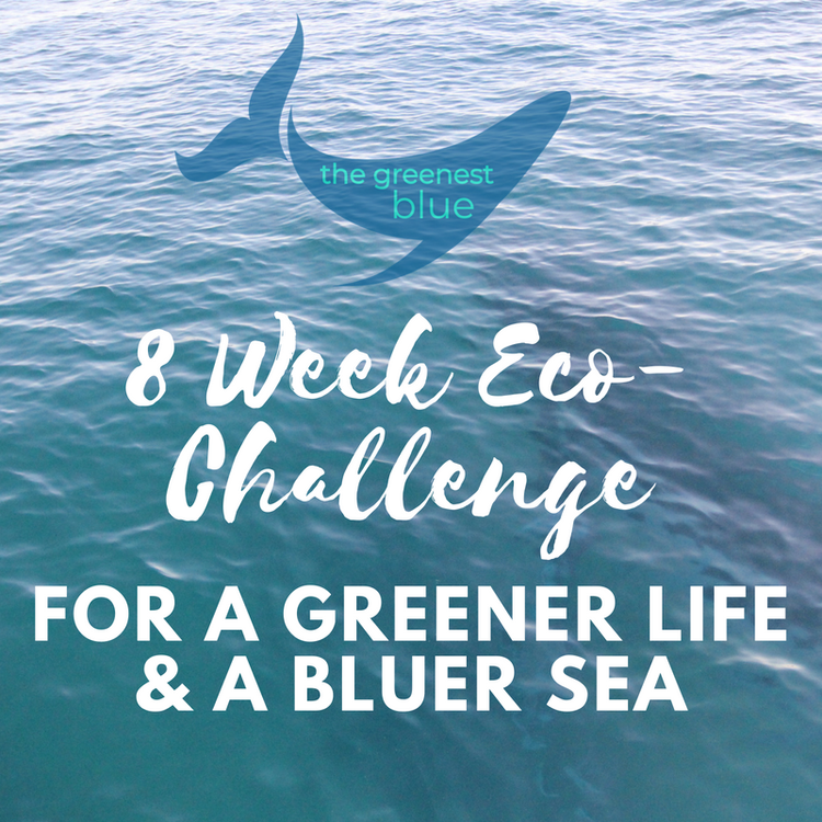 8 Week Eco-Challenge: Making Green-Living Simple — The Greenest Blue