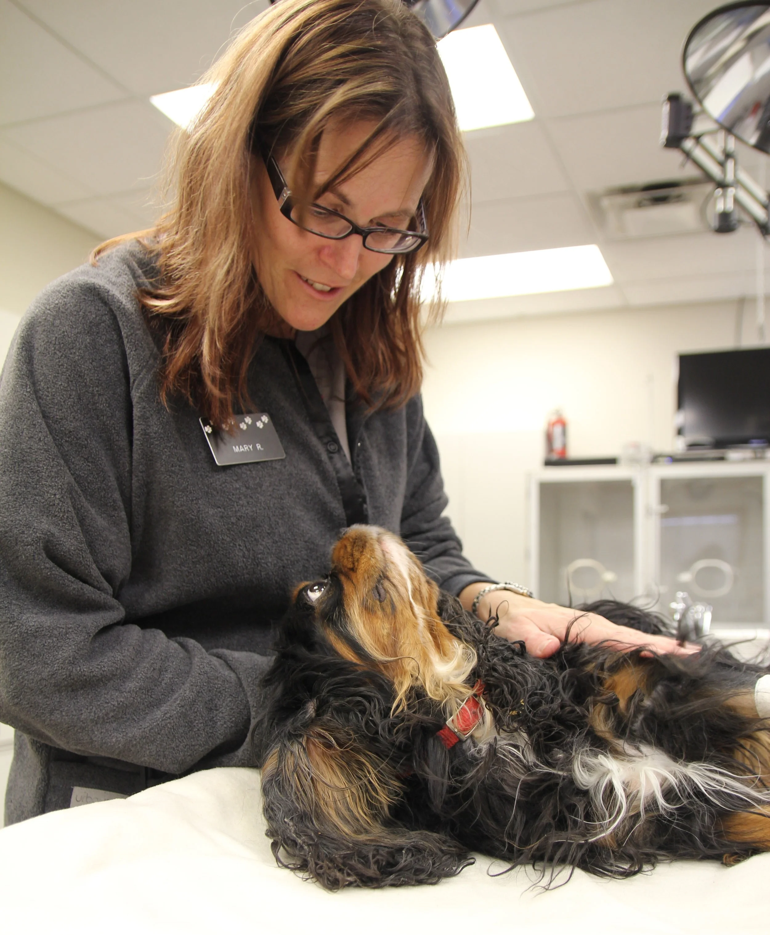 Veterinary Emergency Service