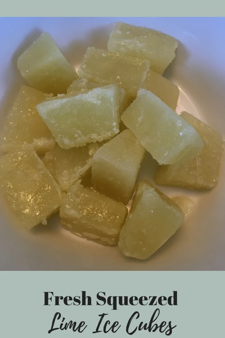 Fresh Squeezed Lime Ice Cubes — pattysplate
