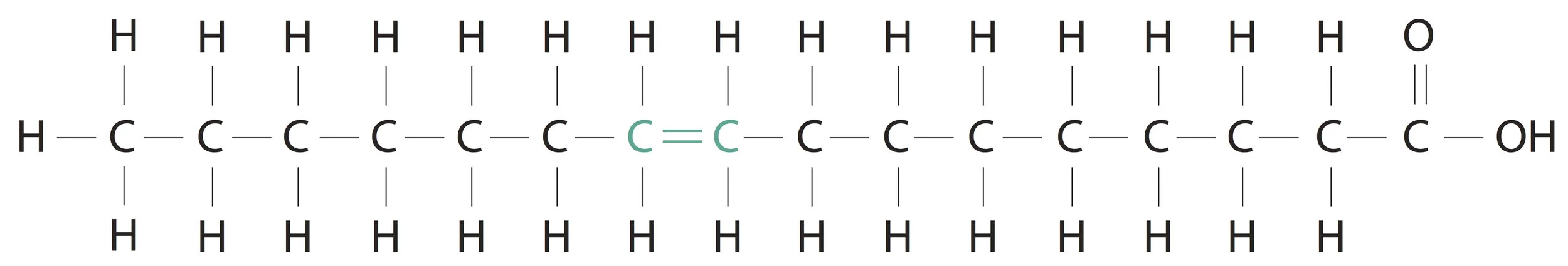 Fatty Acids - The building blocks of lipids — Firstclass