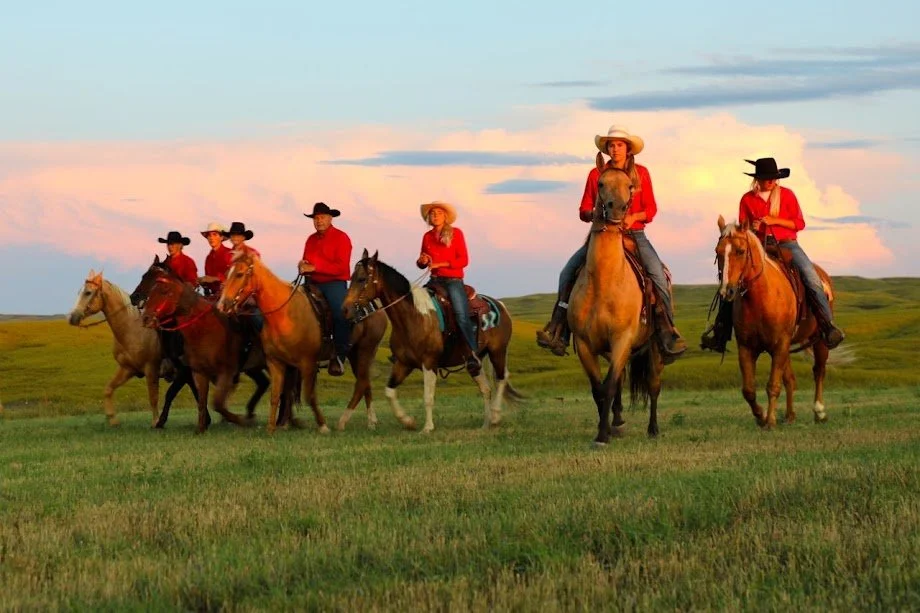 Lonetree Ranch - Ranch Adventures Await