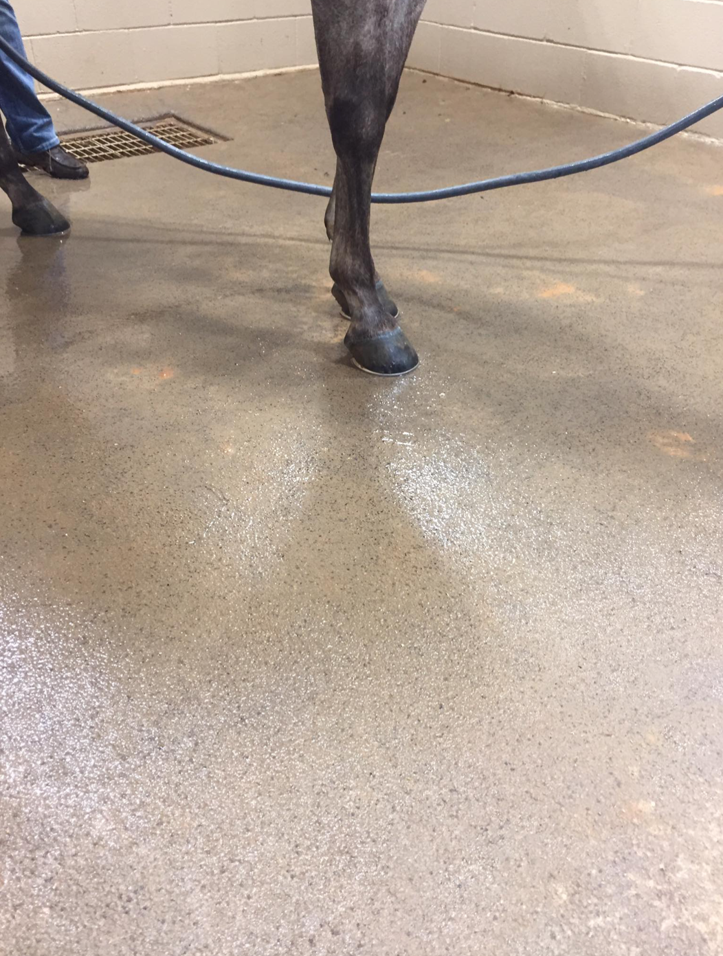 Equiflex Flooring Dealers | Floor Roma