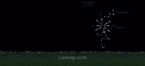 Ultimate Guide to Photographing the Perseids Meteor Shower