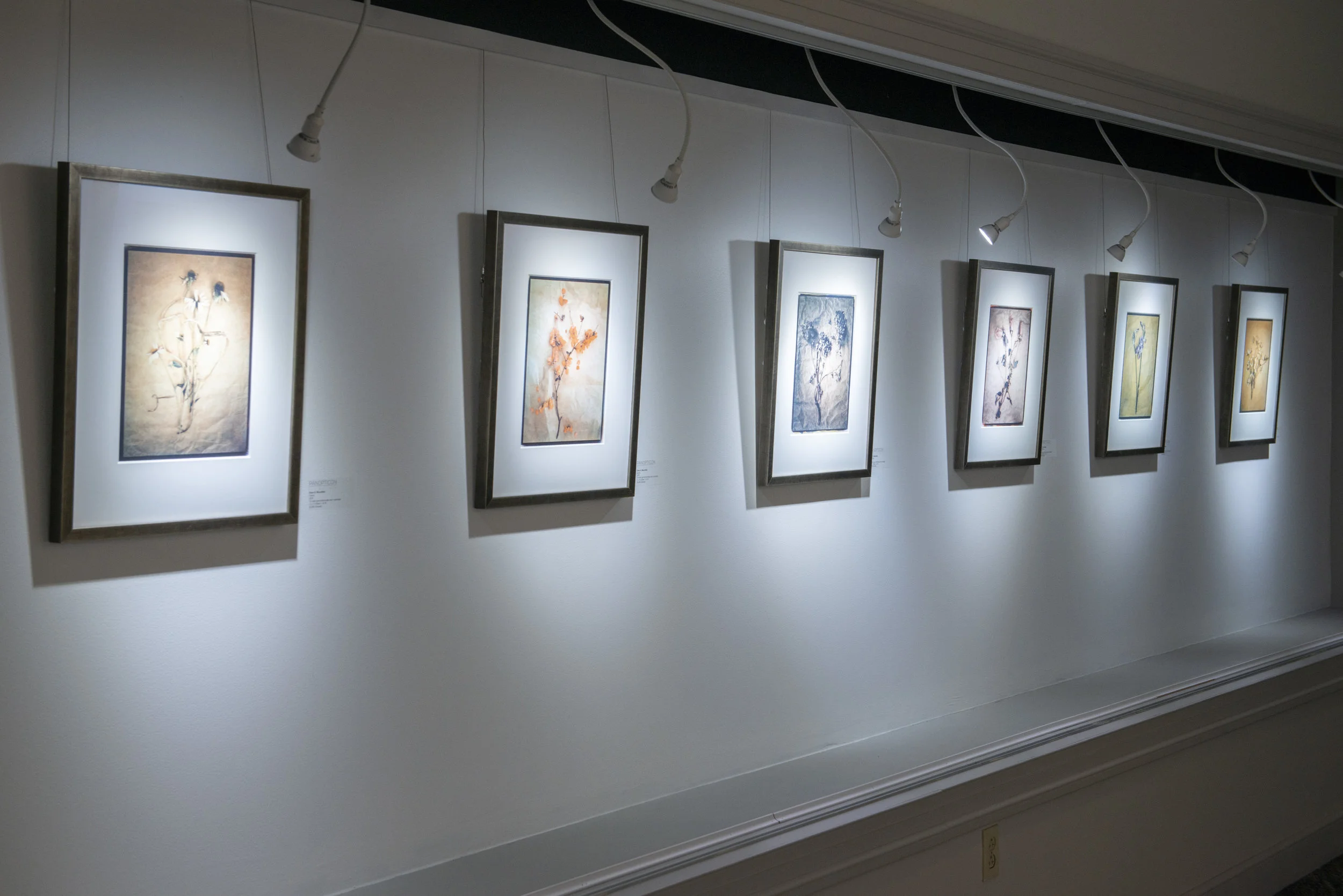 Panopticon Gallery - Current