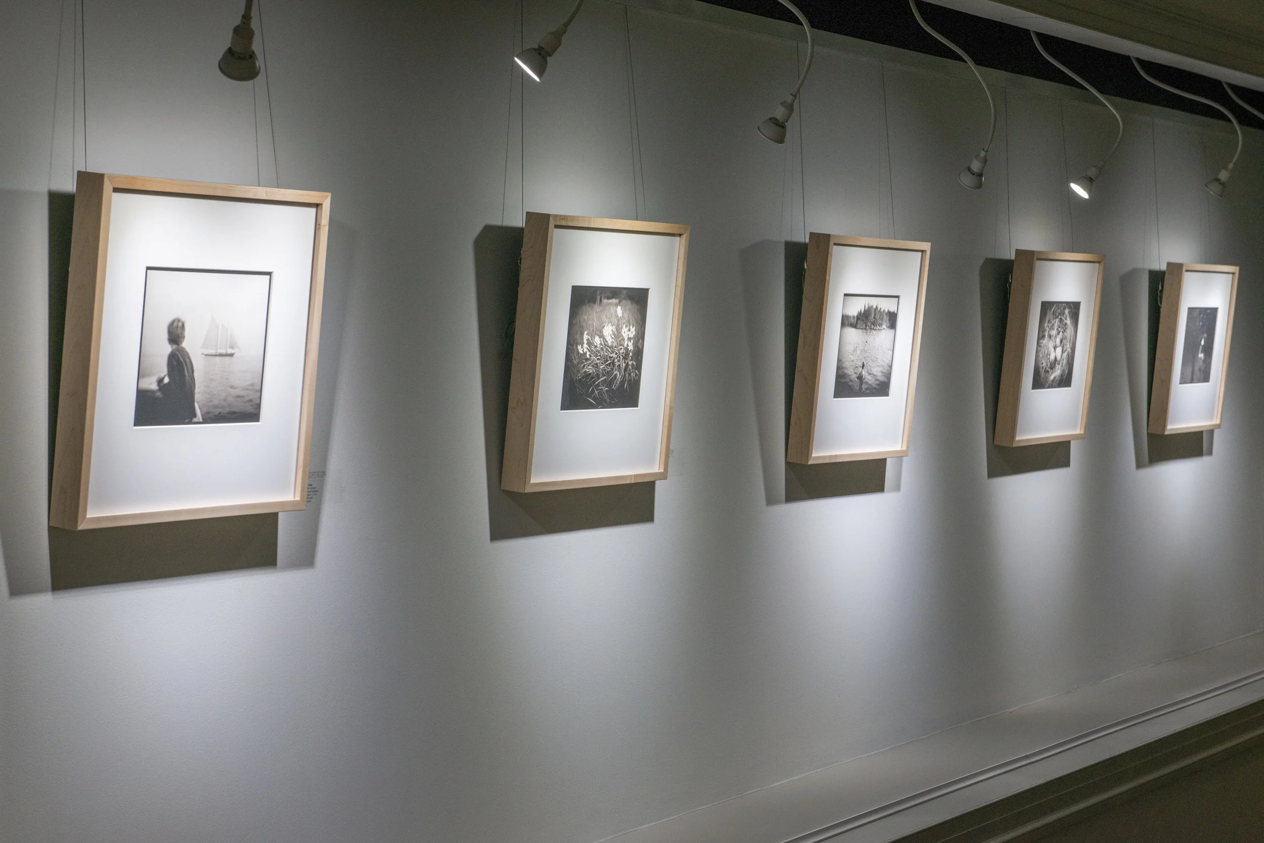 Panopticon Gallery - Current