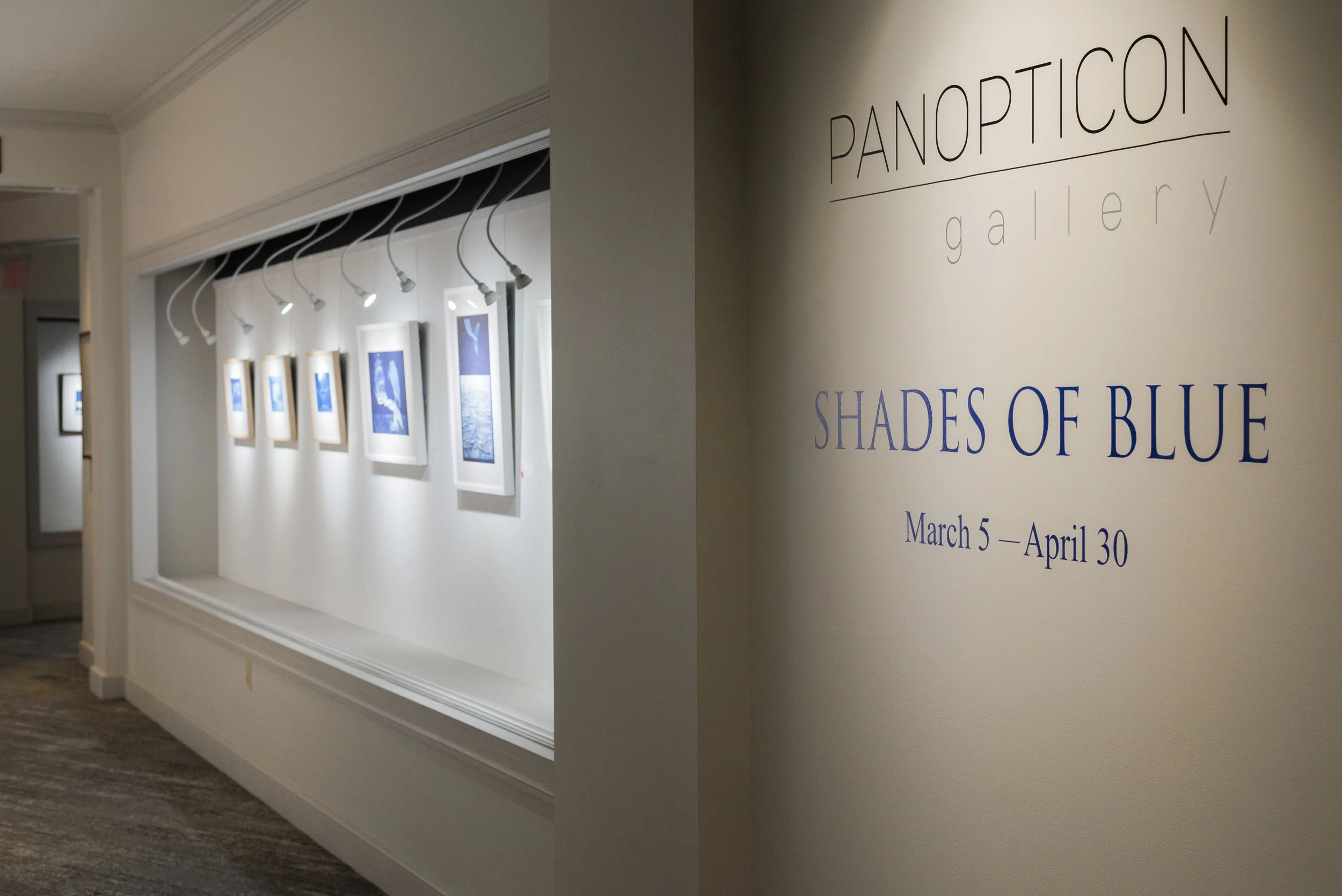 Panopticon Gallery - Shades of Blue