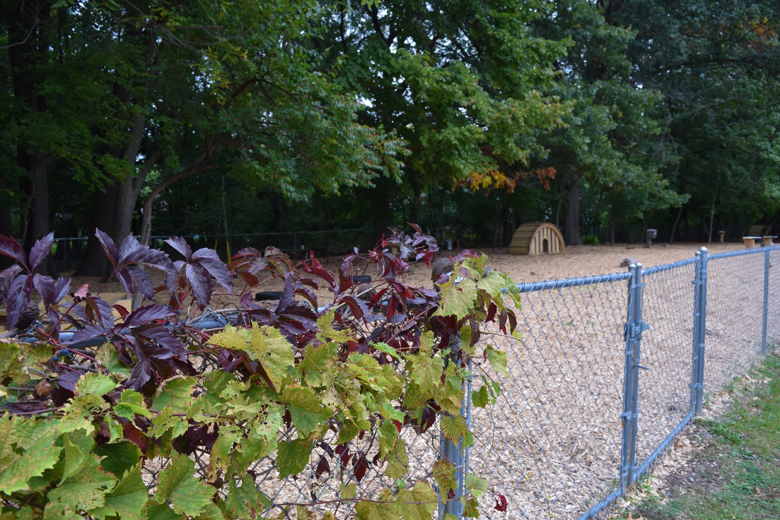 Explore Our Natural Playground at the Walled Lake Children's Learning ...
