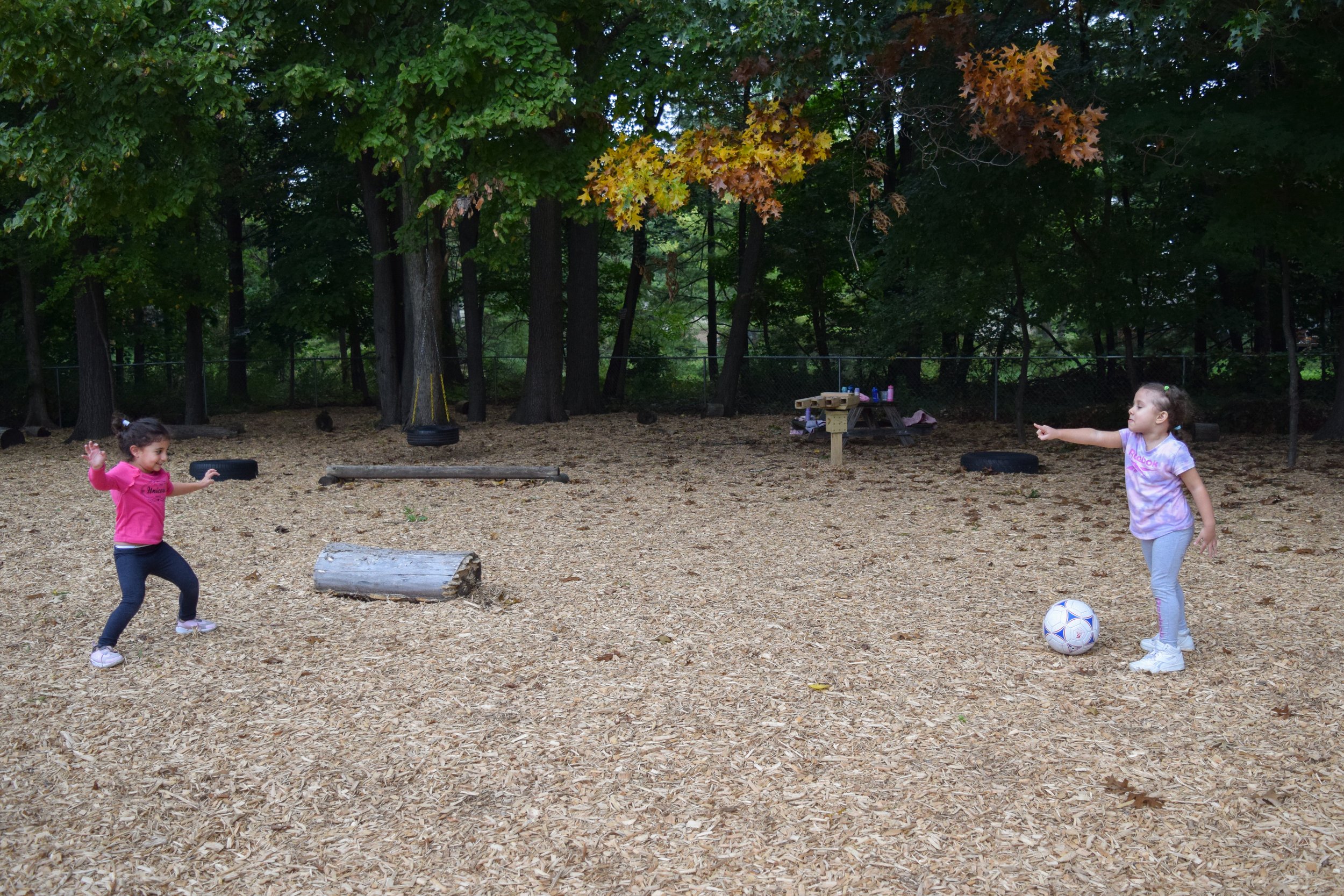 Explore Our Natural Playground at the Walled Lake Children's Learning ...
