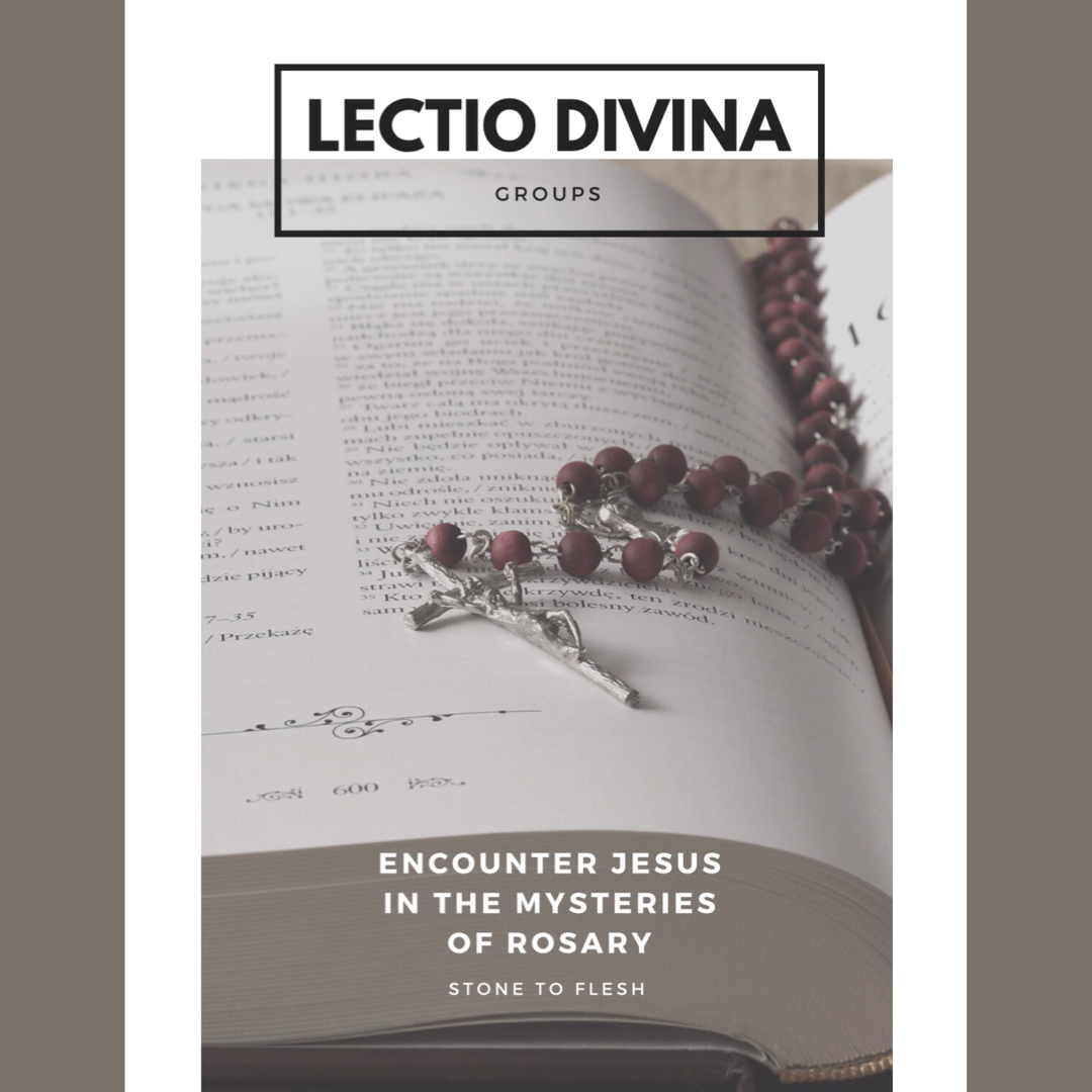 SHOP — Stone to Flesh