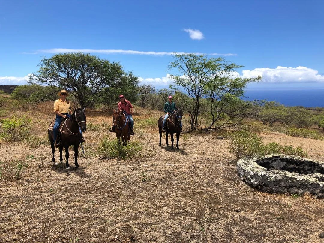 HORSEBACK RIDING MAUI