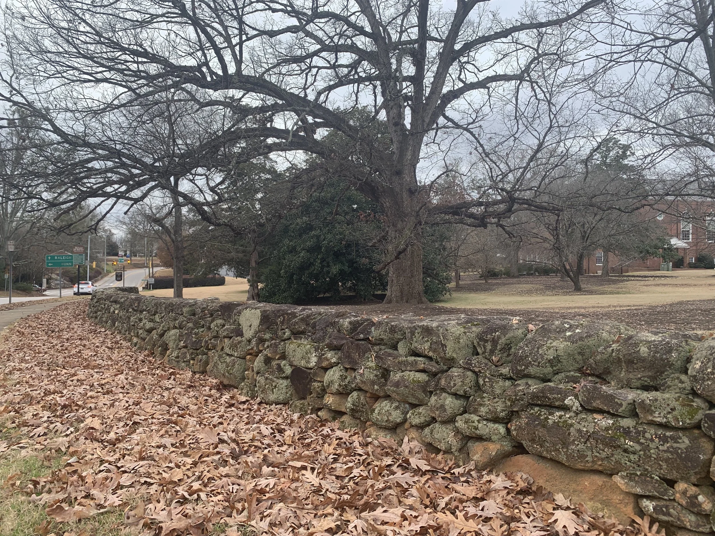 Historic Stone Wall Surrounding Southeastern Seminary Contributes to ...