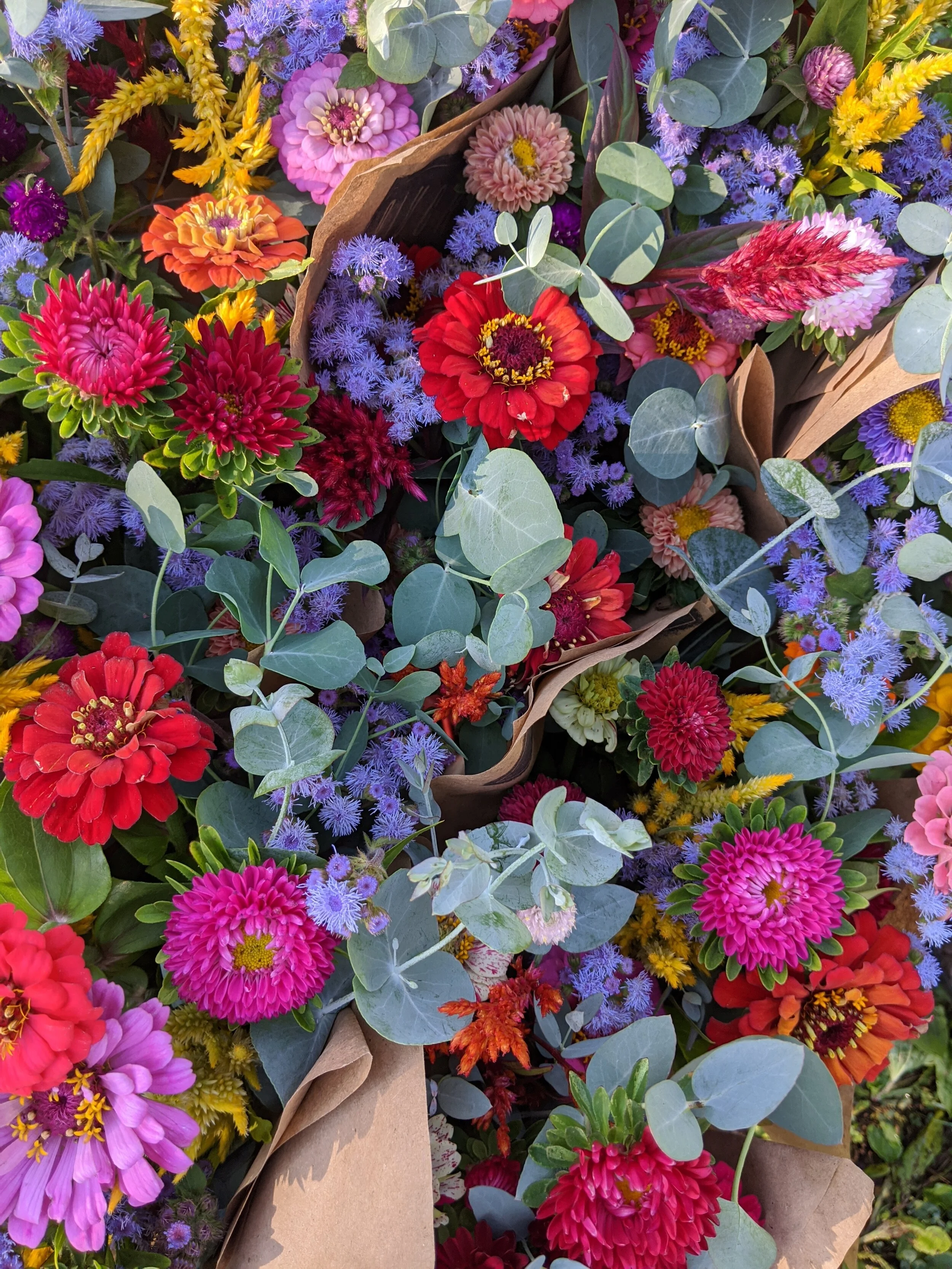 CSA — Pluck Flower Farm