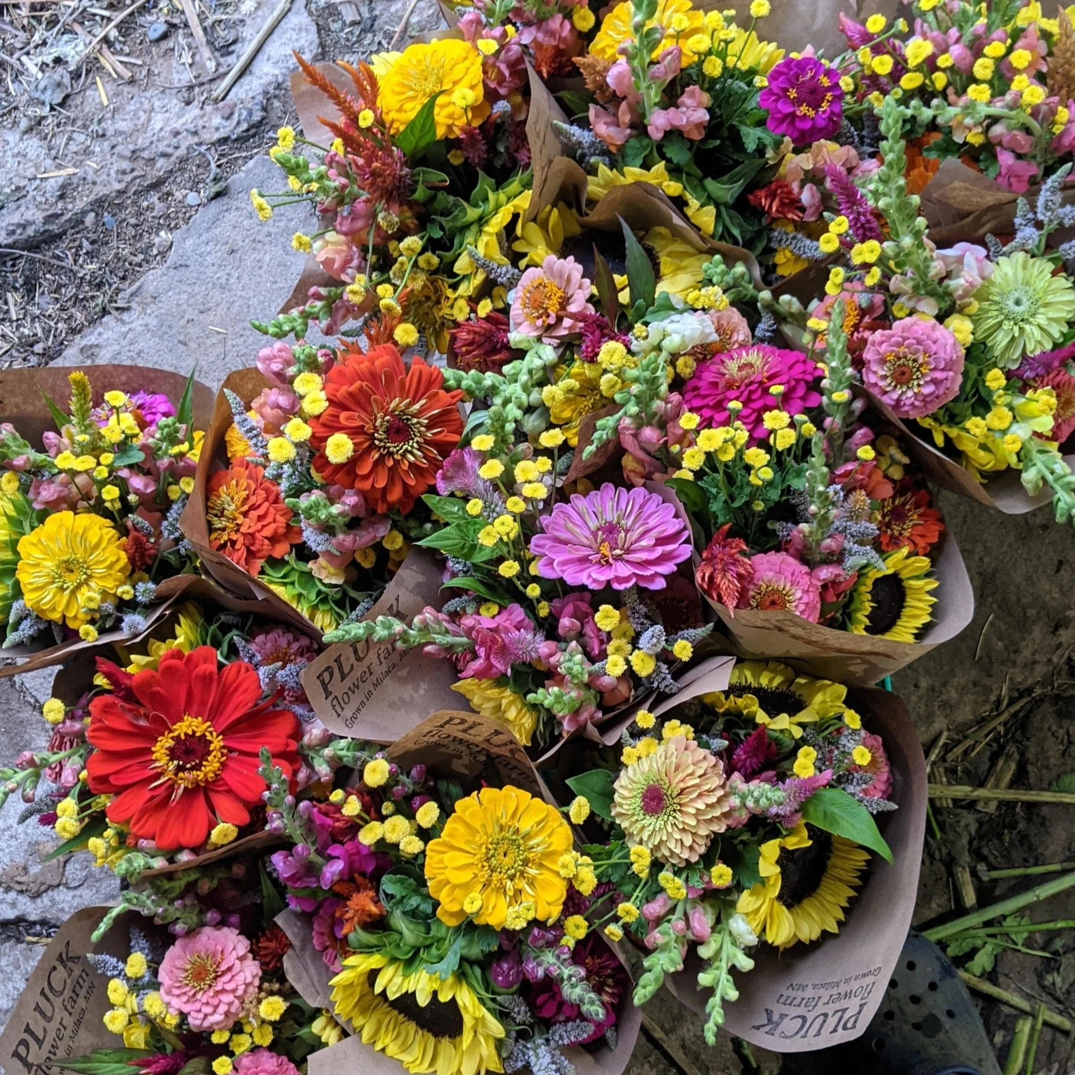 Shop — Pluck Flower Farm