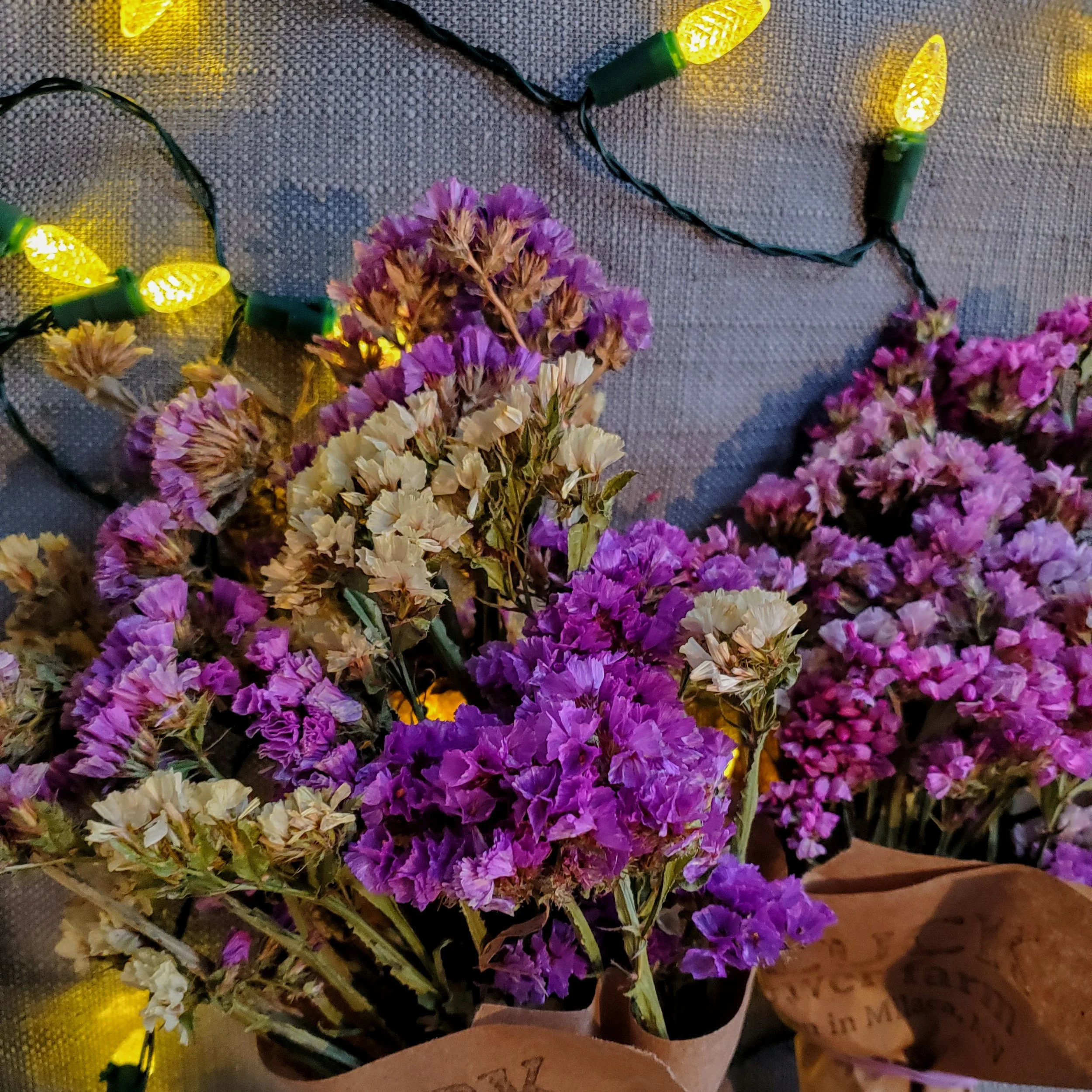 Shop — Pluck Flower Farm