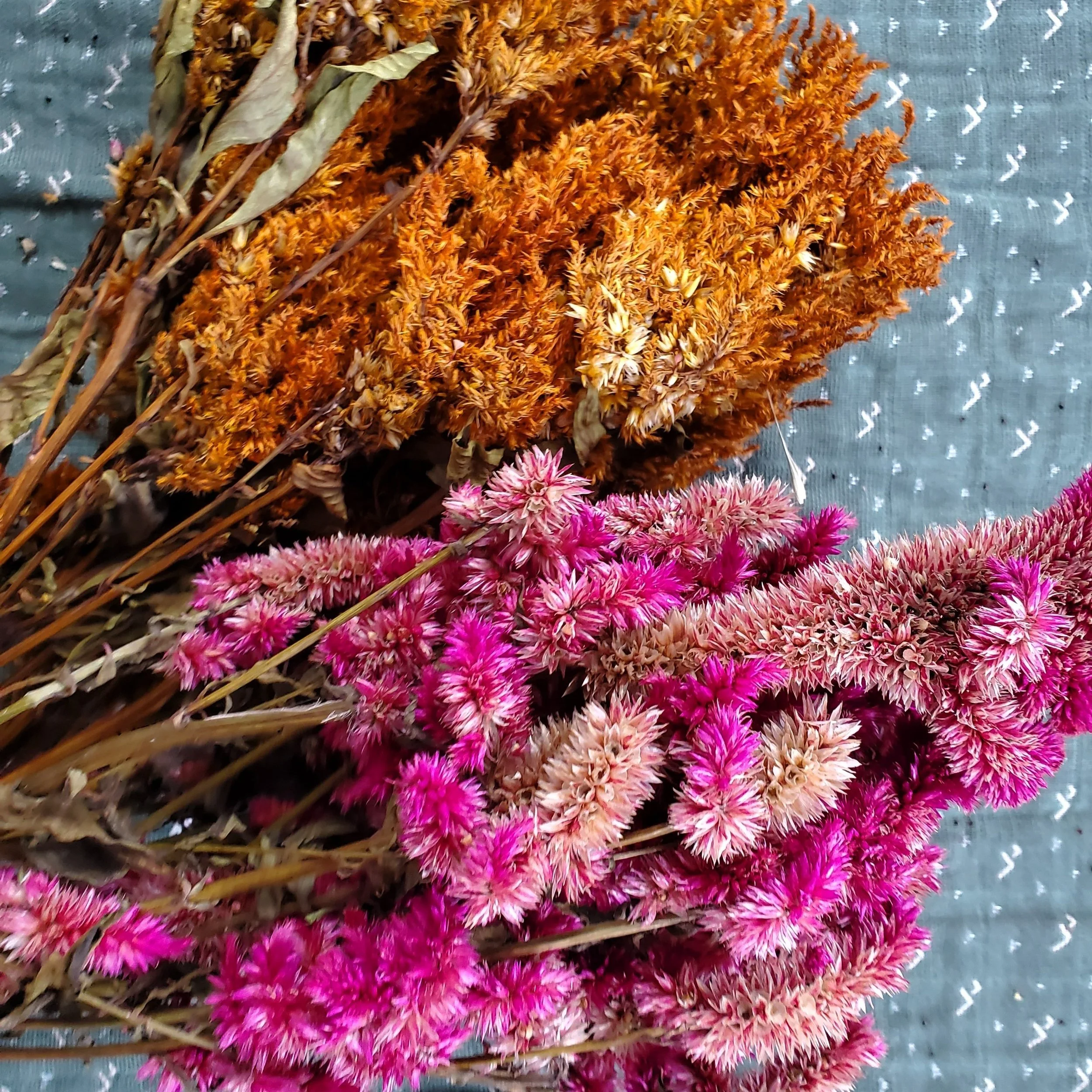 Shop — Pluck Flower Farm