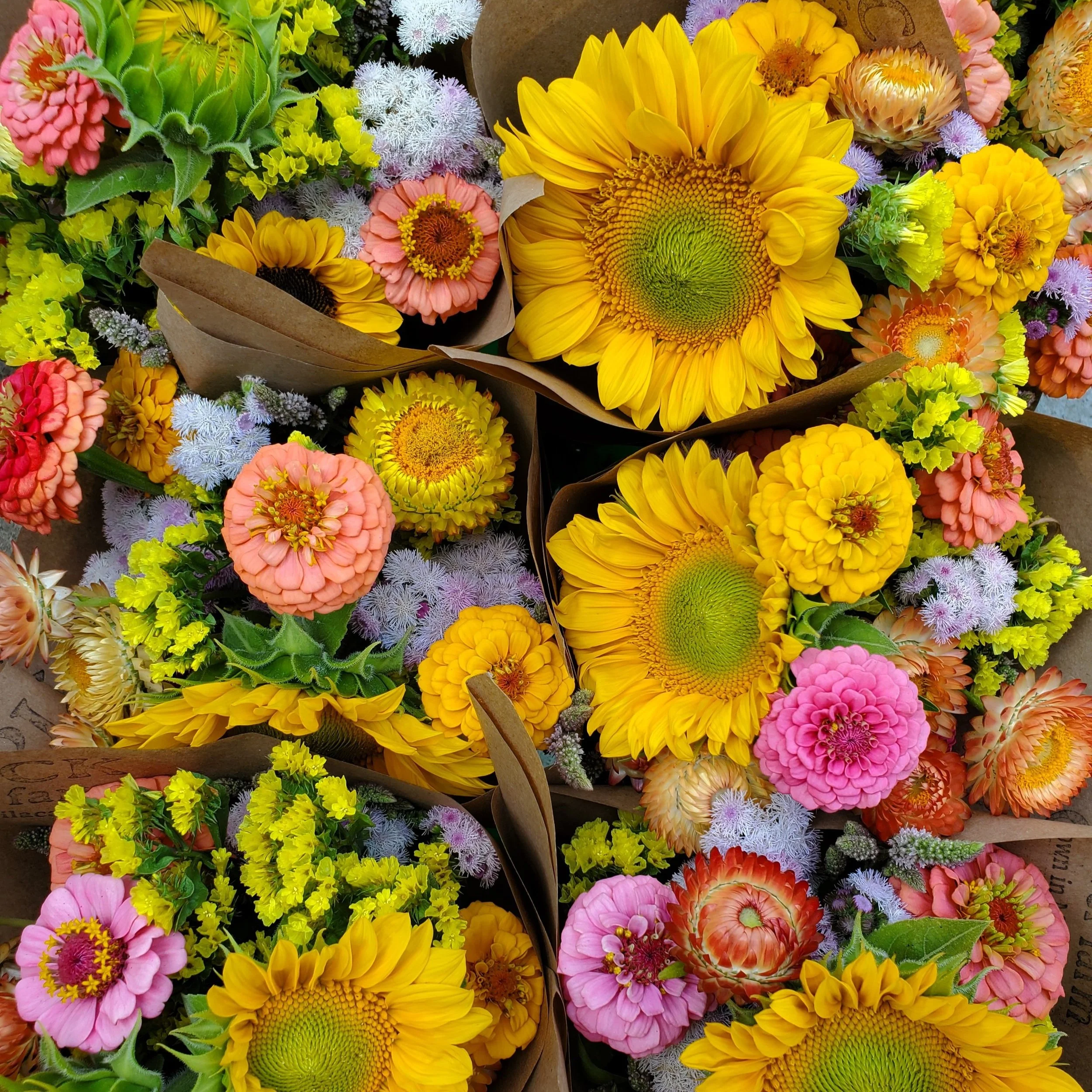 Shop — Pluck Flower Farm