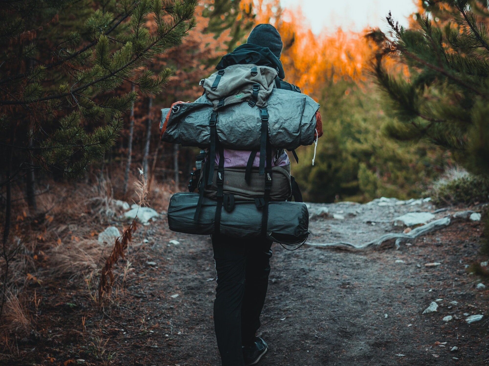 Summer Camp — Camp Frederick