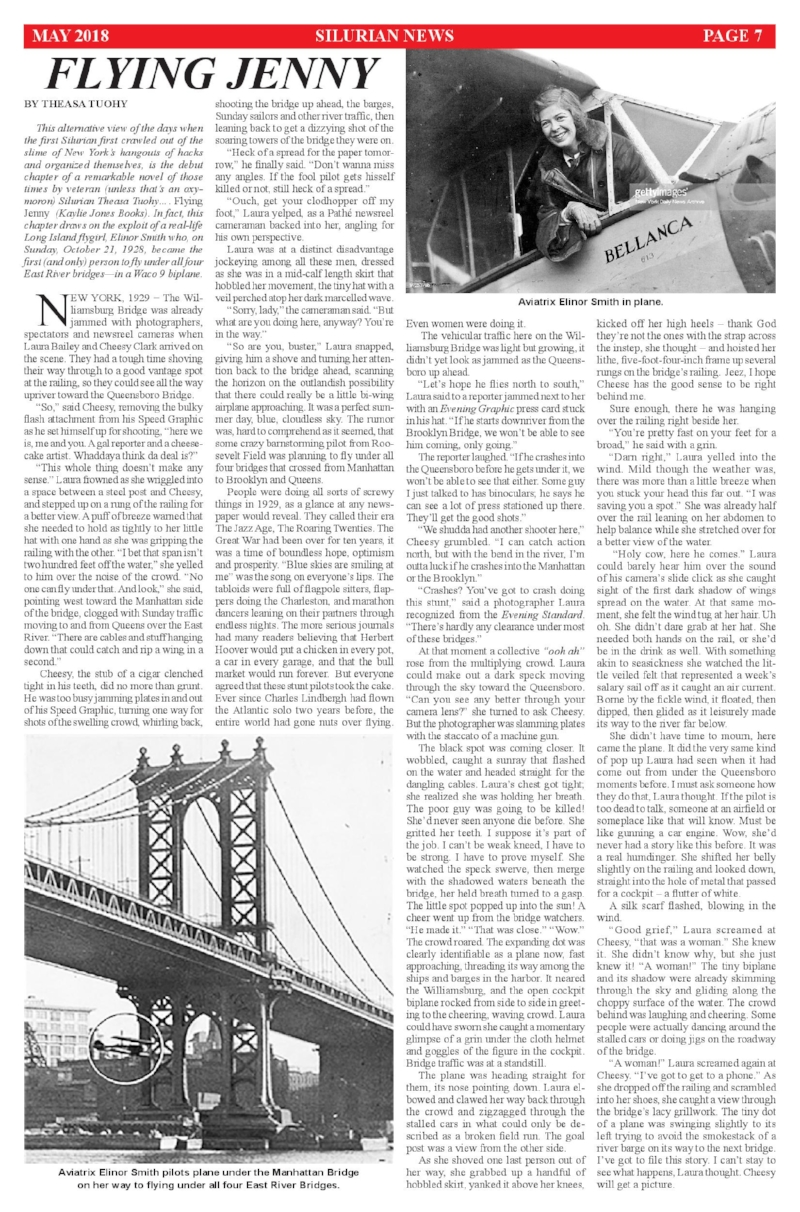 Flying Jenny First Chapter — Theasa Tuohy