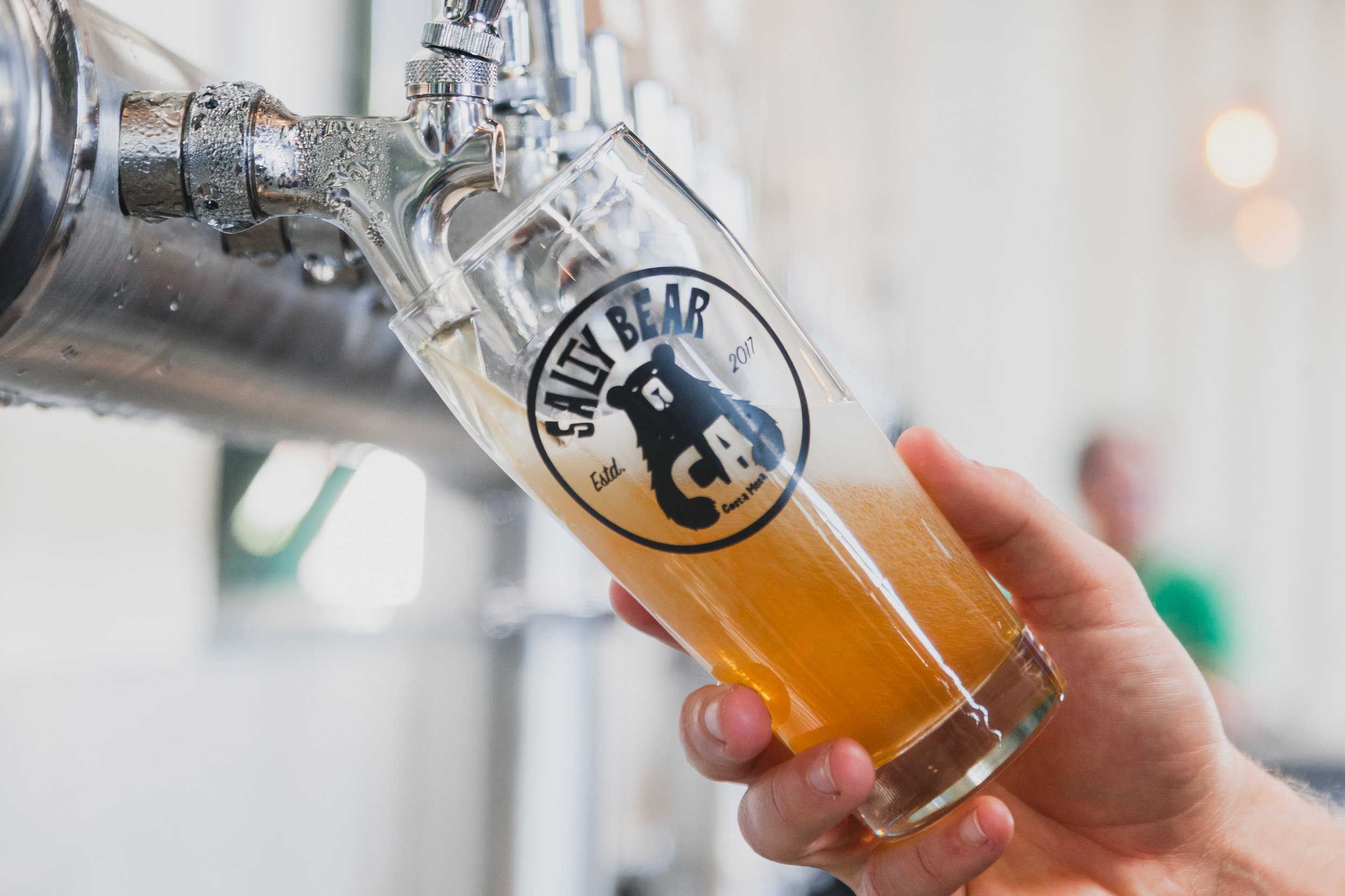 Salty Bear Brewing Co.