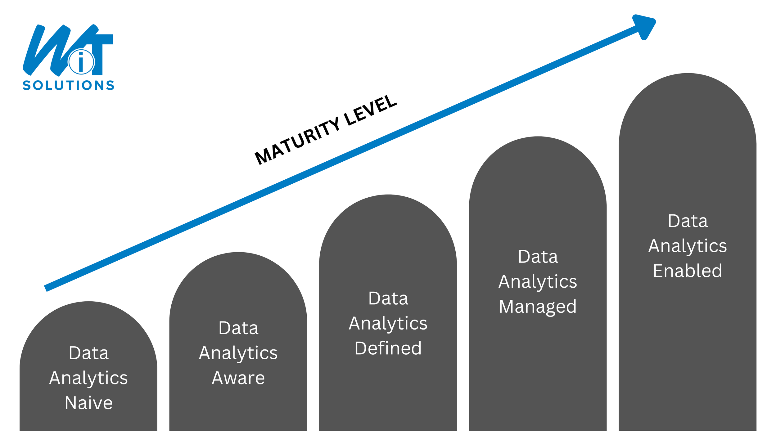 WIT - Data Maturity Assessment
