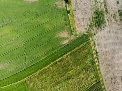 Improved vs Unimproved Land: A Comprehensive Guide to Making the Right ...