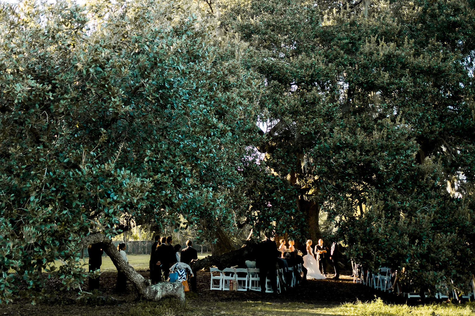 New Orleans Wedding Photographer — Documentary & Editorial Style | Mike ...