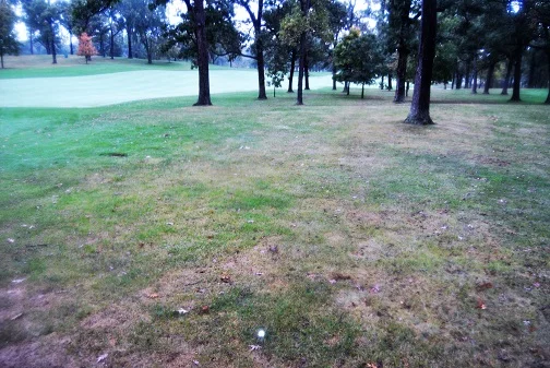 Medinah (Course #3) — Jimmie's Top 100 Golf Course Tour