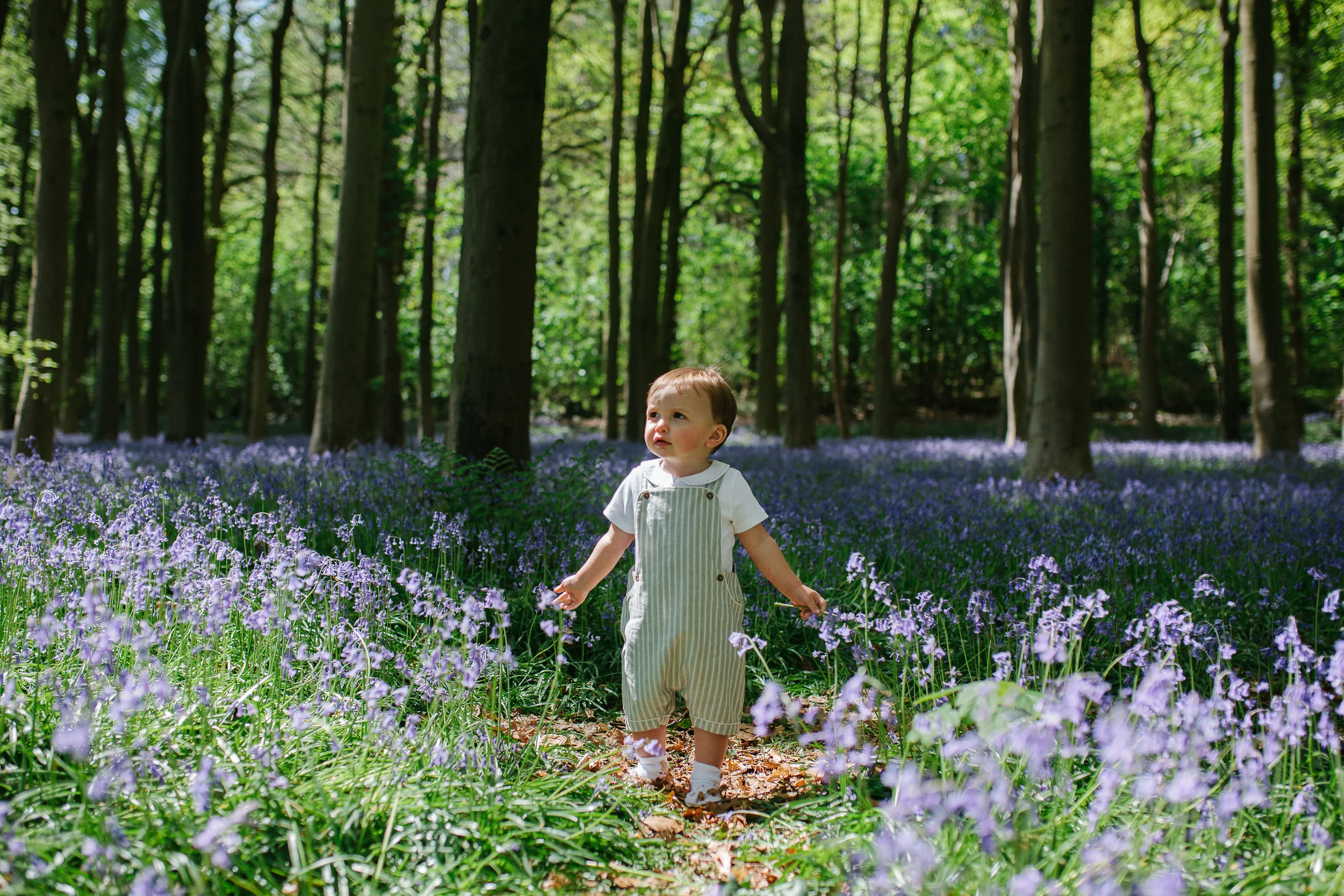 Natural, Outdoor Family photography, Maternity photography, Newborn ...