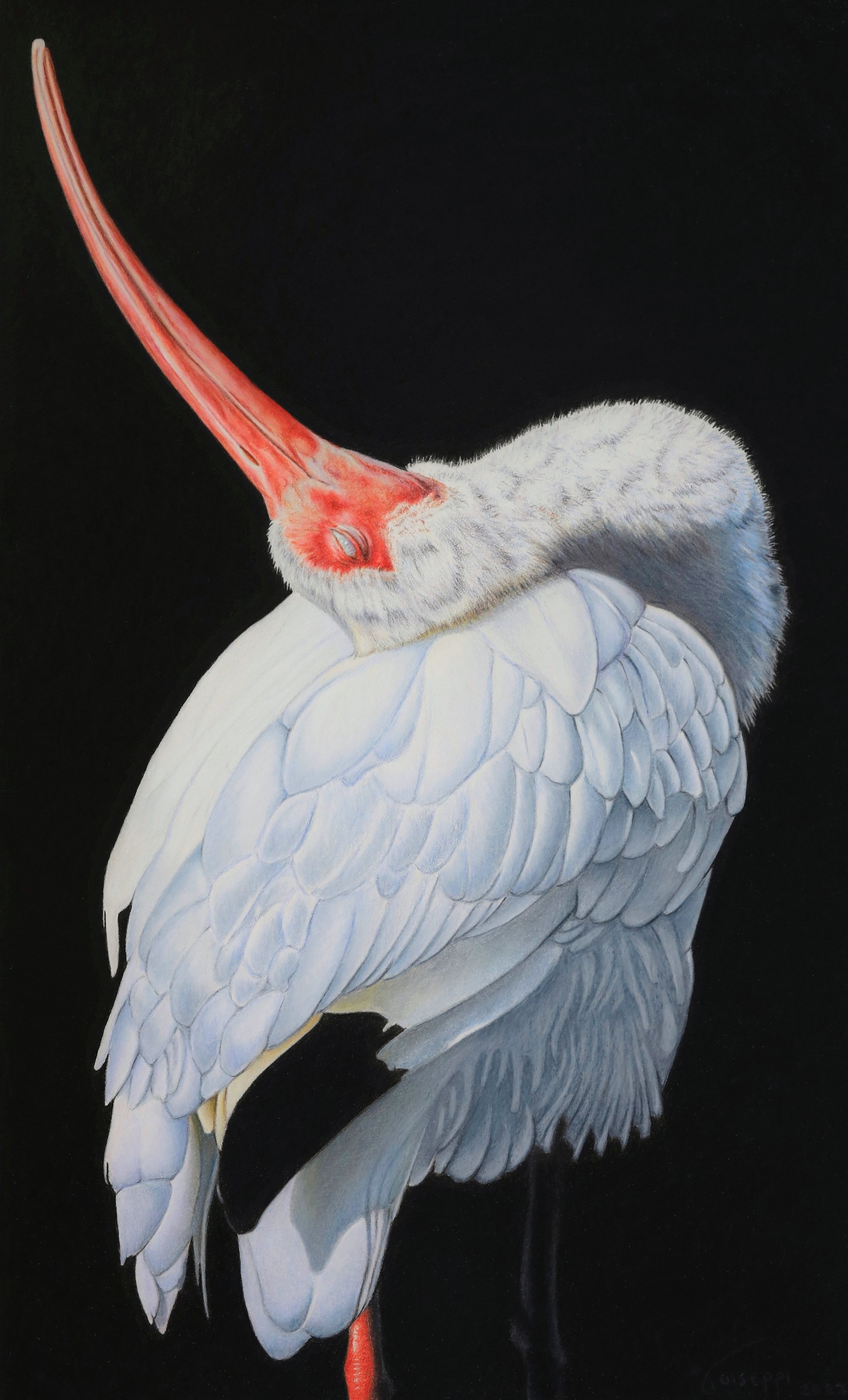 Tampa Regional Artists