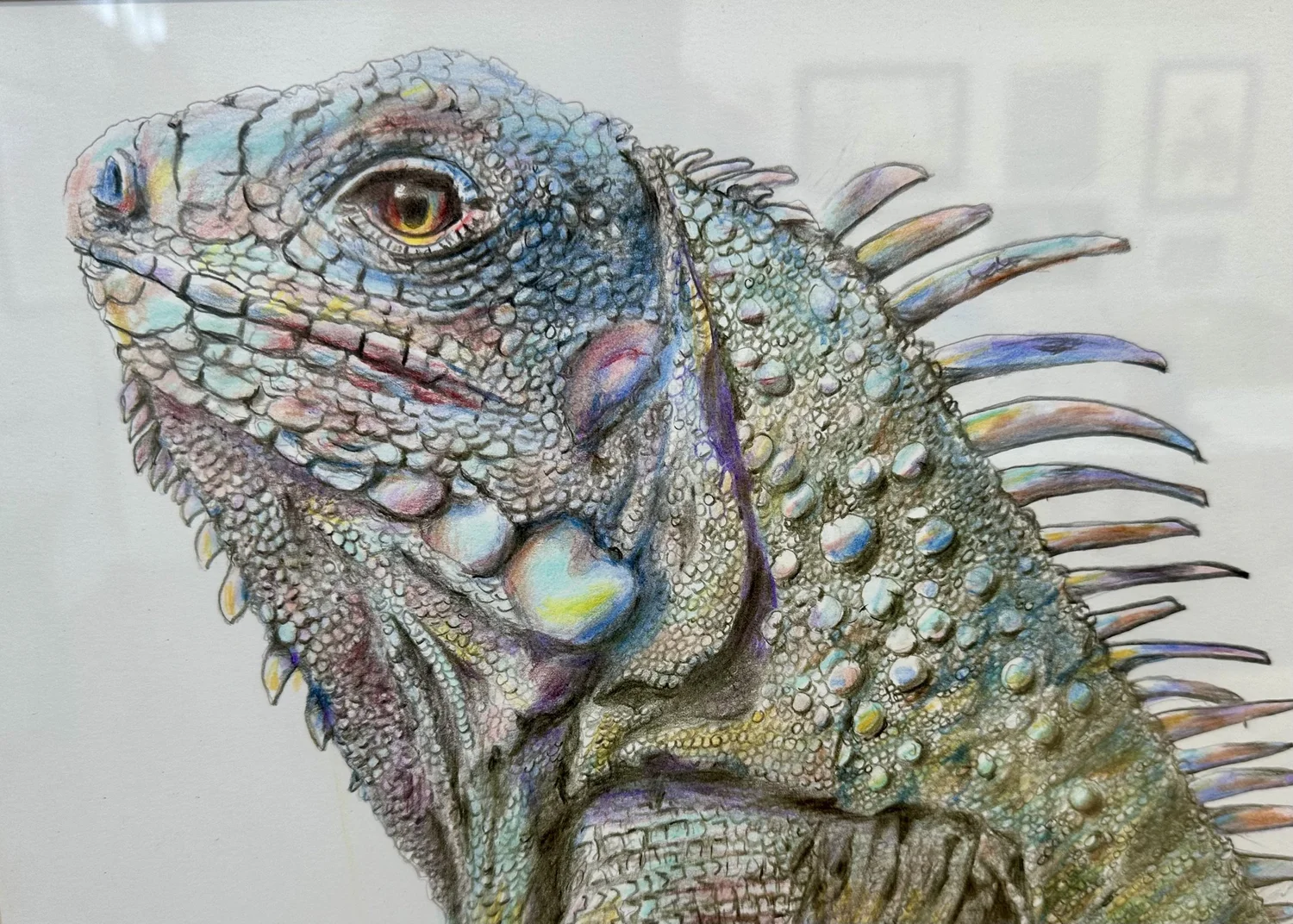 Tampa Regional Artists
